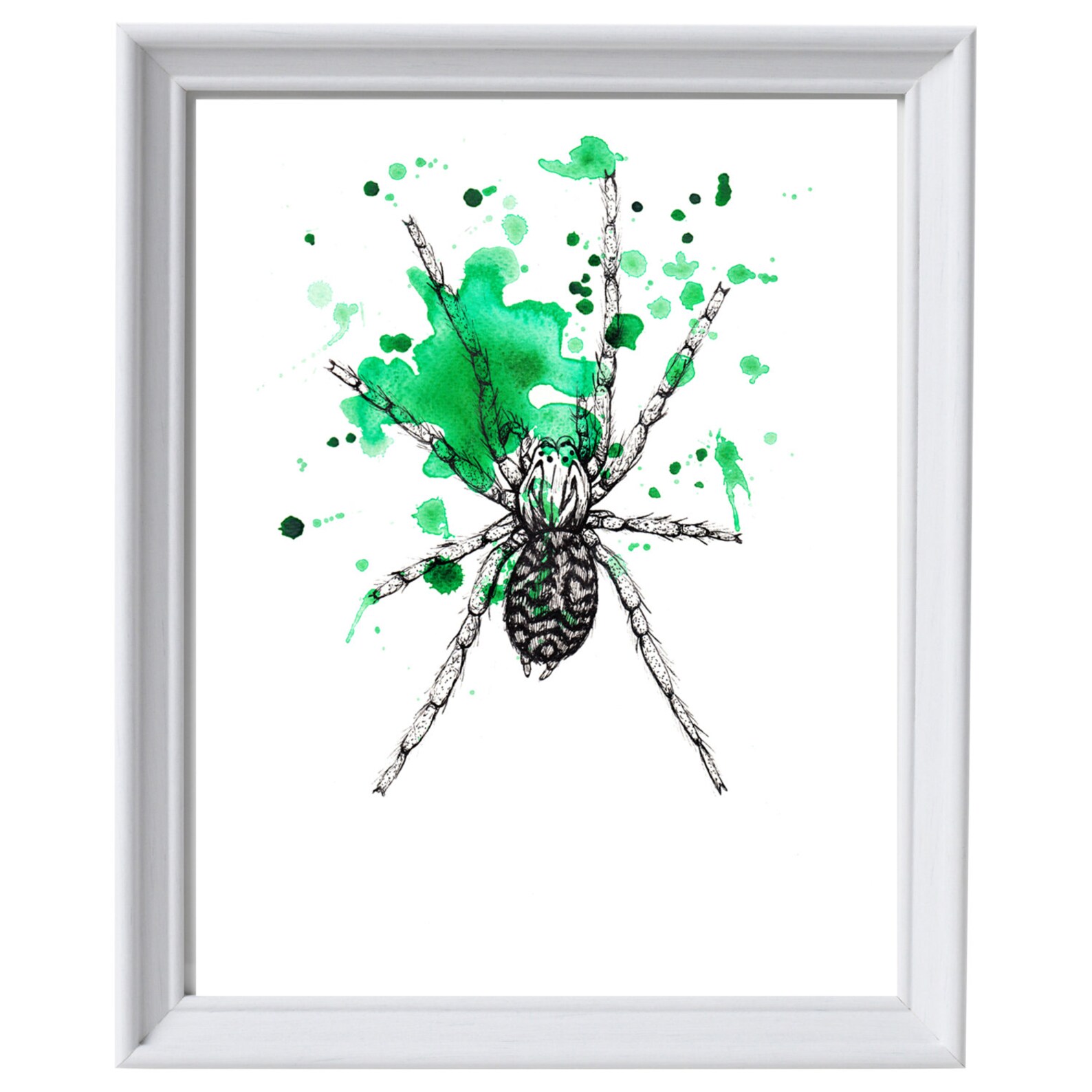 Squashed Spider Watercolour Art Print - Etsy