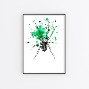 Squashed Spider Watercolour Art Print - Etsy