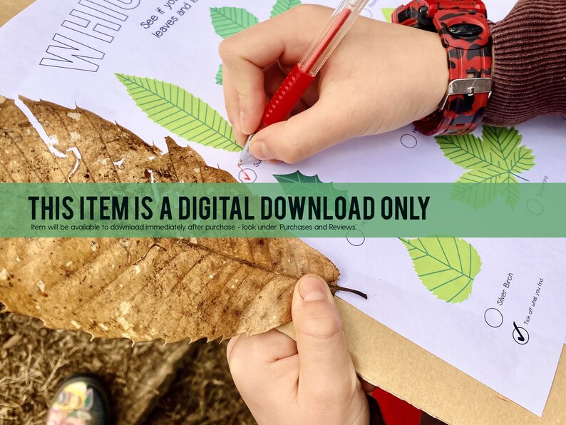 Woodland Scavenger Hunt Pack Summer Holiday Printable Create - Etsy