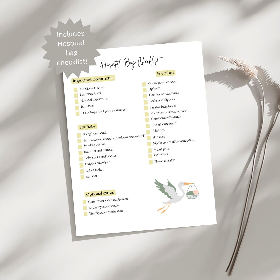 Fillable Birth Plan PDF, Simple Birth Plan Printable, Labor Checklist ...