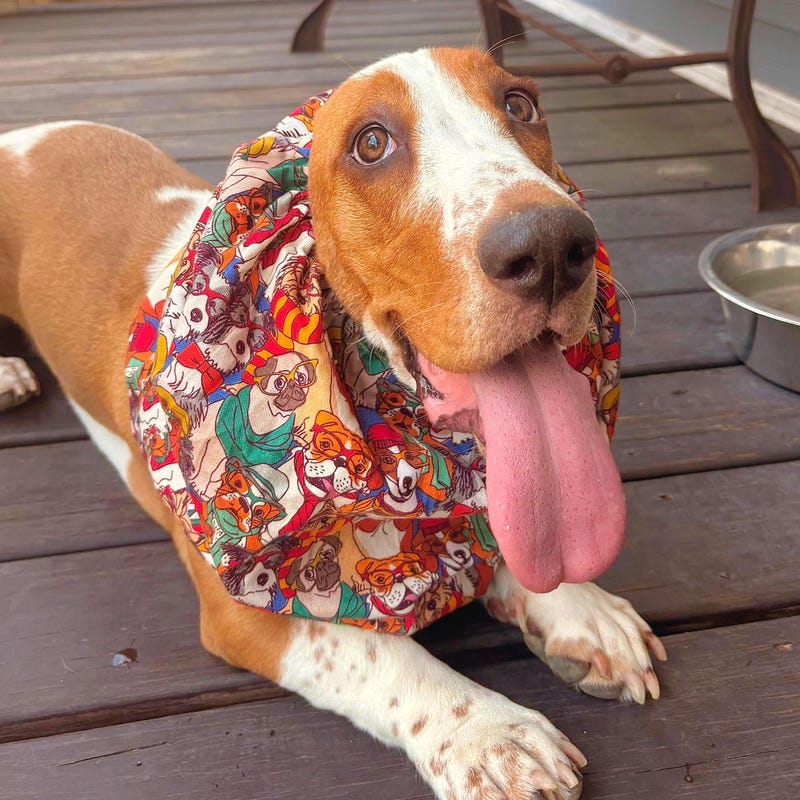 Ear Covers for Basset Hounds - Etsy UK