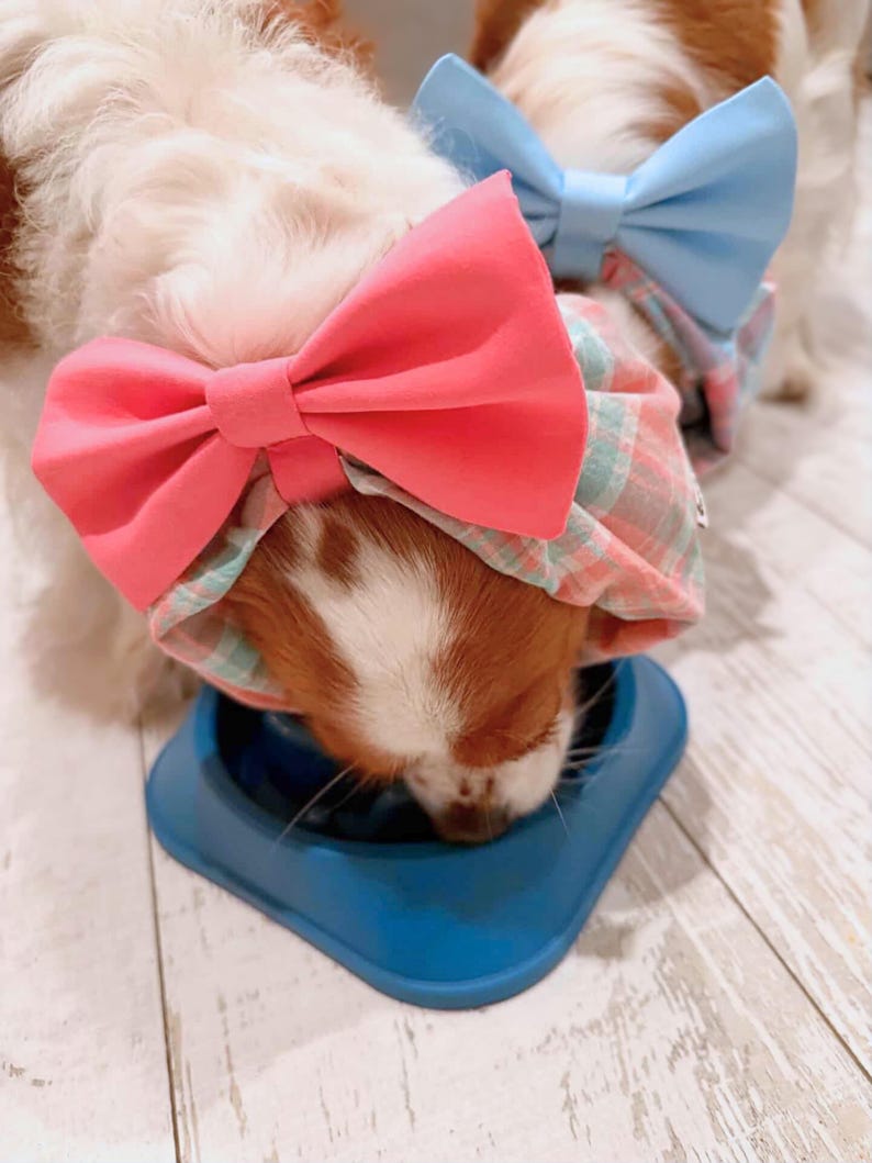 Cavalier Dog Snood, Pastel Plaid Cotton, Detachable Bow, Long Ear ...