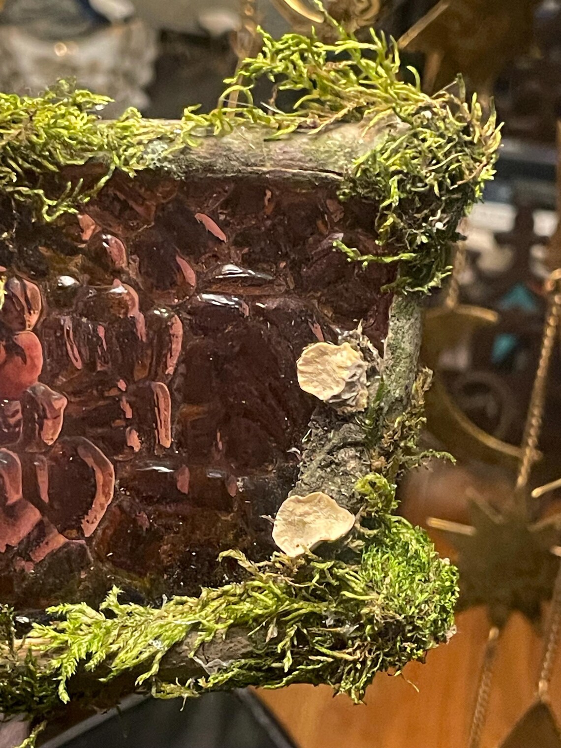 Hand Made Fairy House Window With Real Stained Glass - Etsy