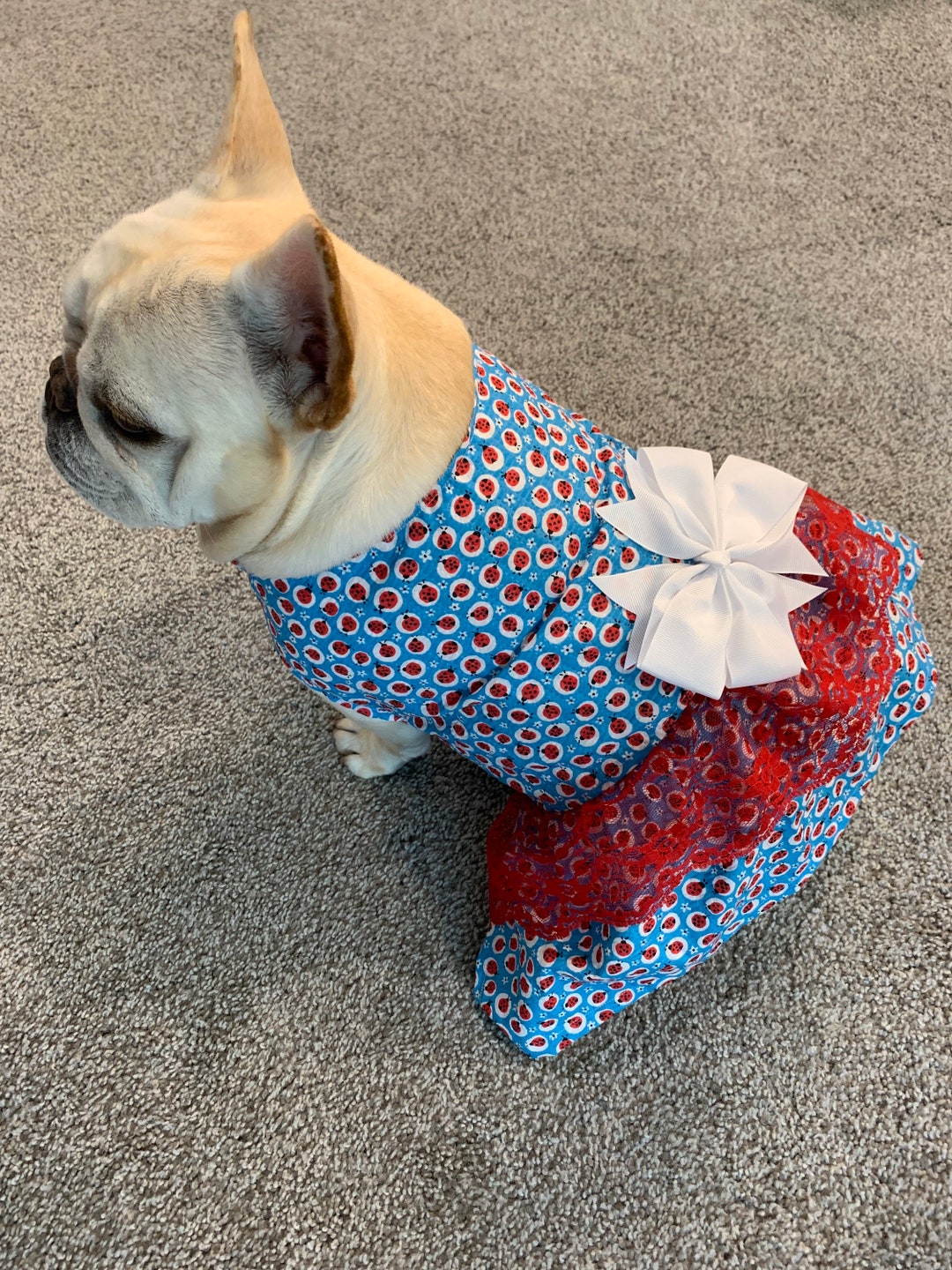 French Bulldog Frenchie Ladybug Print Summer Dress - Etsy