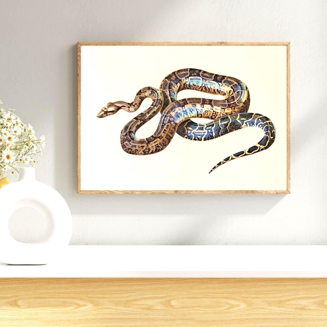 Vintage Snake Poster – 1970s Larousse Boa Constrictor Print, Original ...