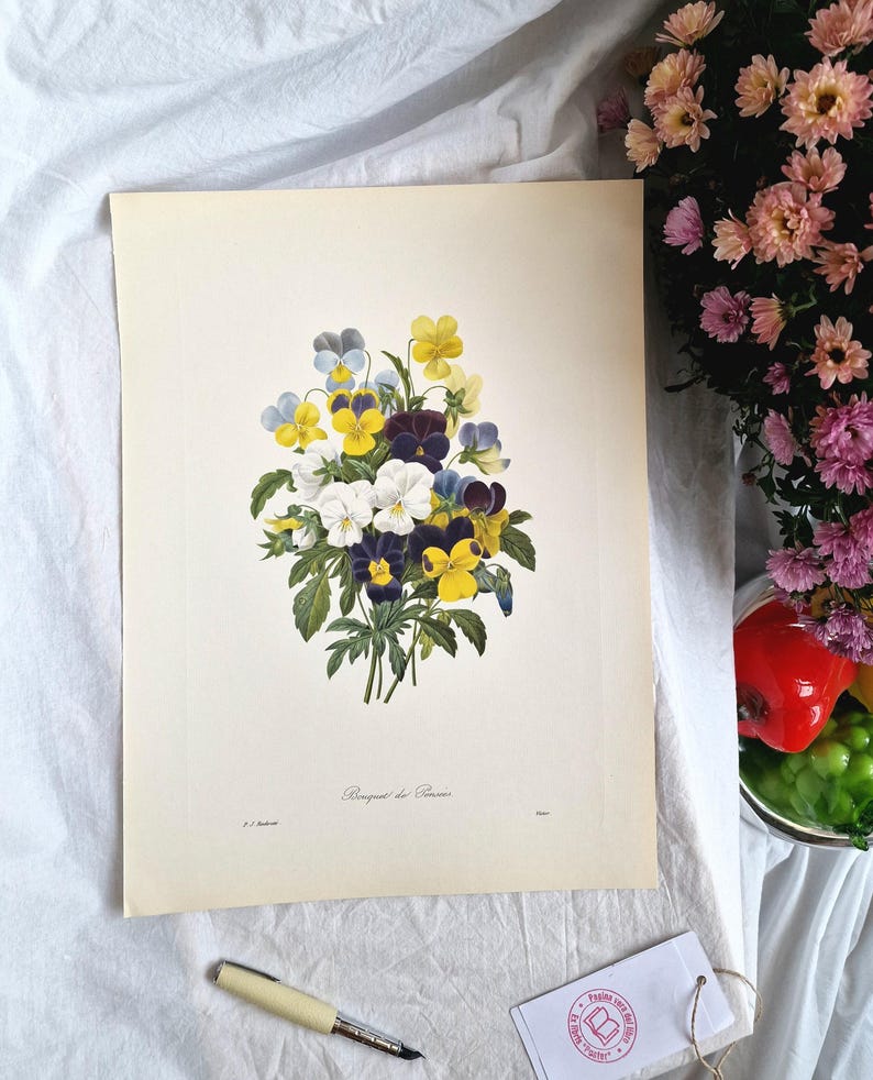 Pierre-joseph Redouté Flowers – Vintage Pansies Print, Large Botanical ...