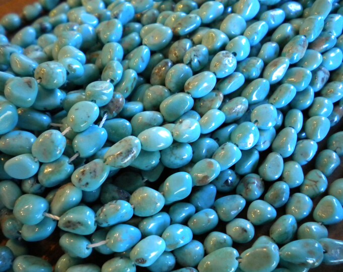 Full Strand of Beautiful Robins Egg Blue Campitos Turquoise Small to ...