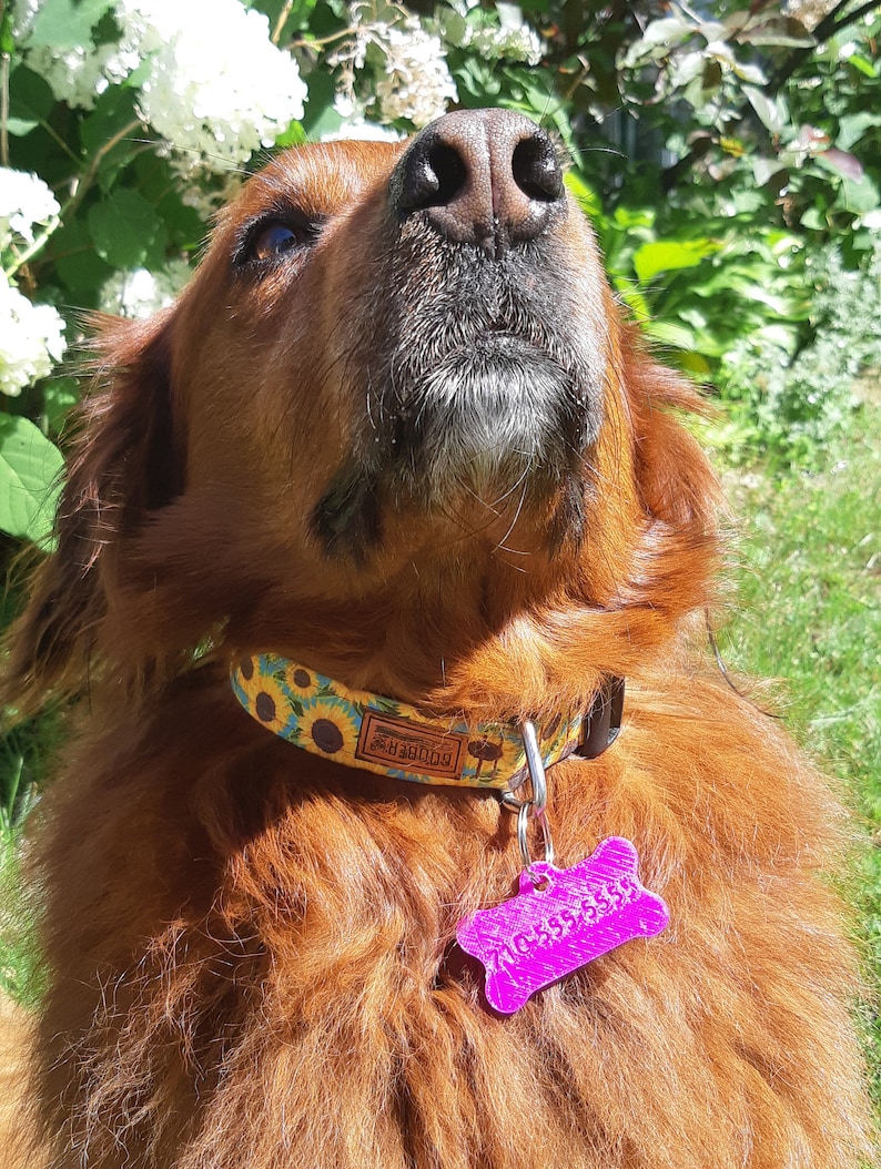 Personalized 3D Printed Dog Tag. Great as a Gift for Your Favorite Pet ...