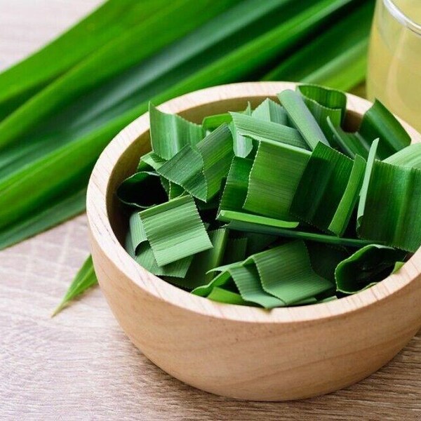 Pandan - Etsy