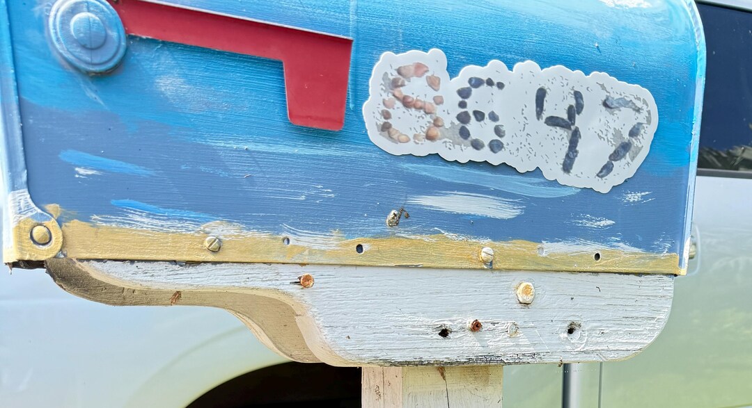 8647 9 Inch Anti Trump Sea Shell LARGE 9"x3" Bumper Sticker Looks Good ...