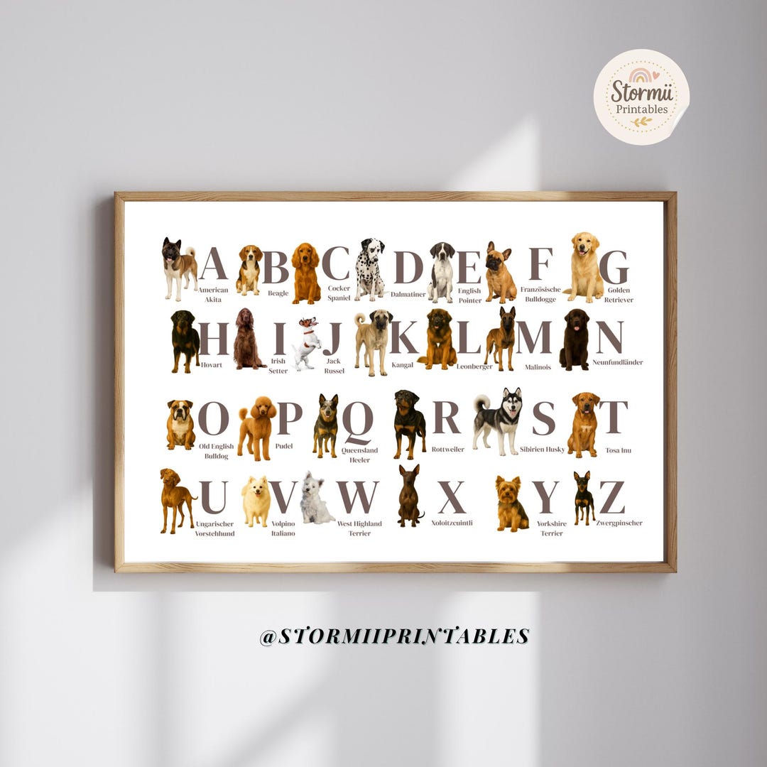 Dog ABC Poster for Children | Learning Poster With Dog Breeds ...