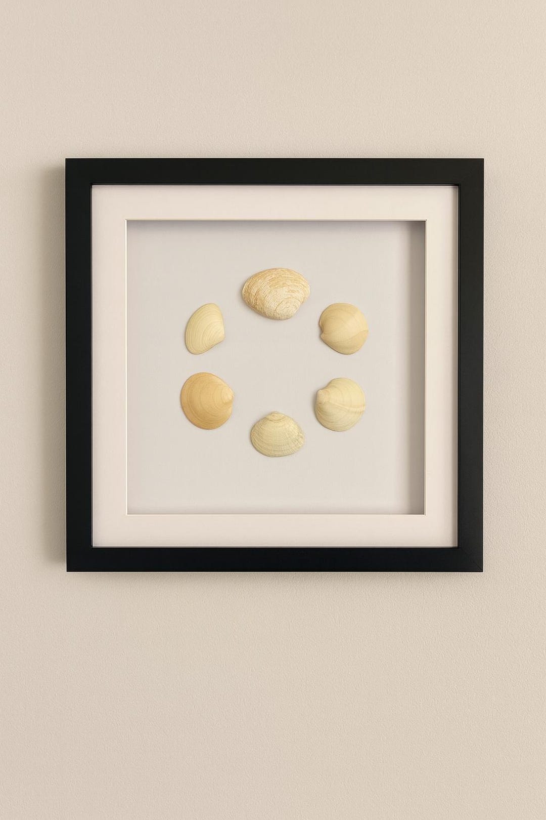 Clam Circle - Contemporary Circular Clam Shell Artwork - Etsy