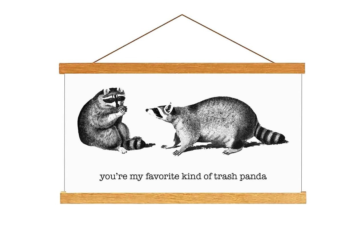 Trash Panda Poster - Etsy