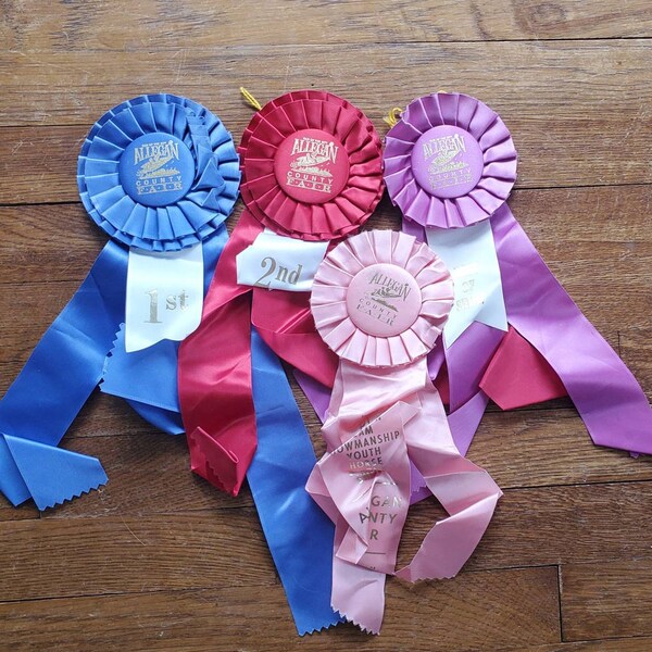 Horse Show Ribbons - Etsy
