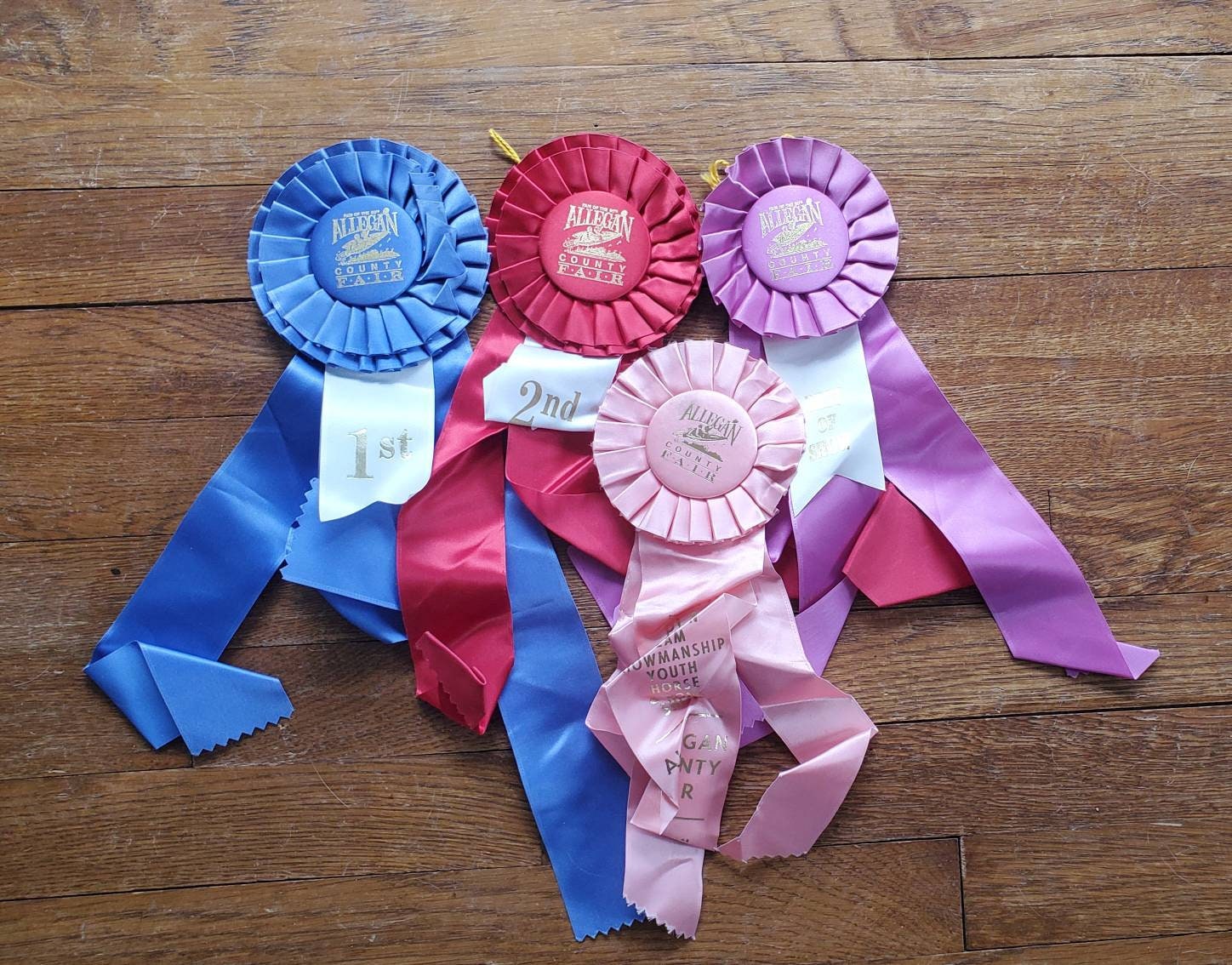 Fair Ribbons And Rosettes