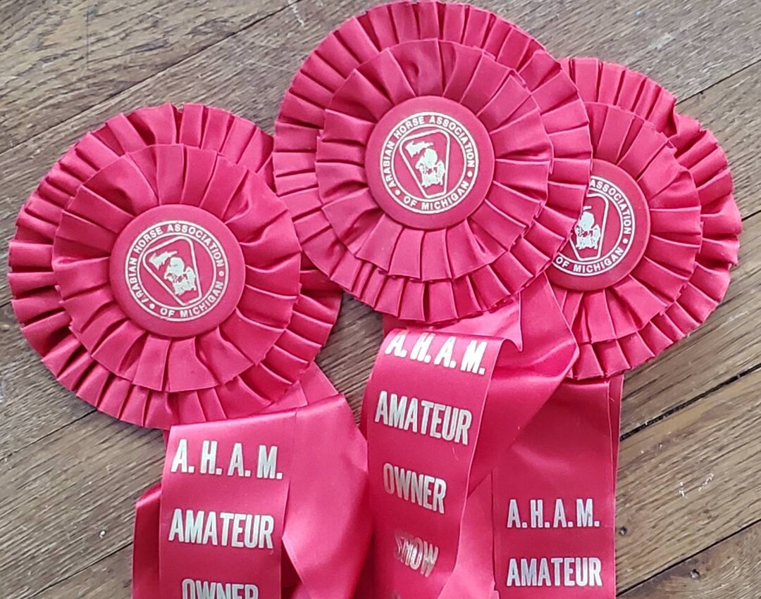 Vintage Horse Show Equestrian Ribbon Rosette Arabian Lot/3 Red - Etsy