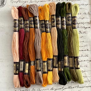 12 French Vintage DMC Embroidery Floss Skeins - Etsy