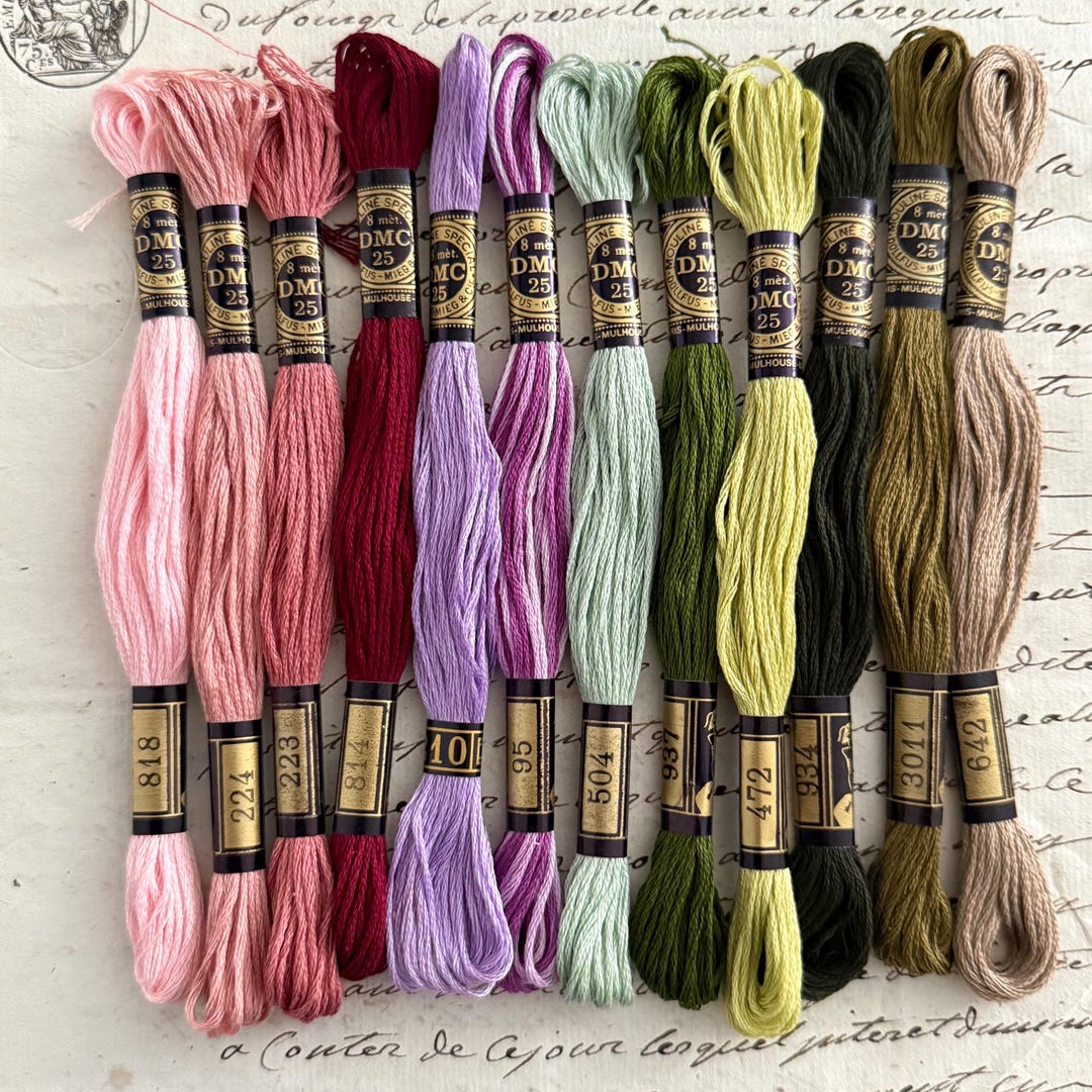12 French Vintage DMC Embroidery Floss Skeins - Etsy