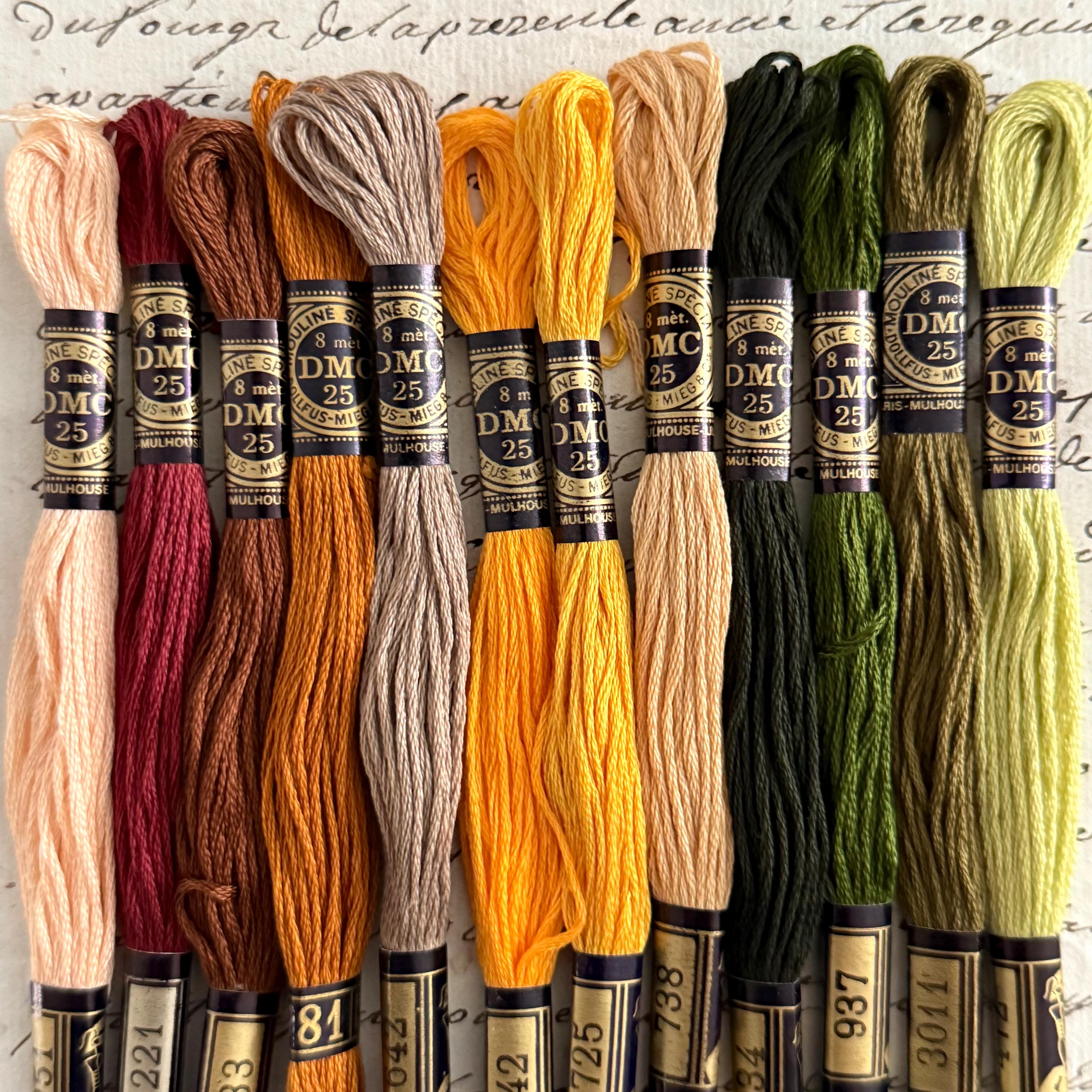 12 French Vintage DMC Embroidery Floss Skeins - Etsy