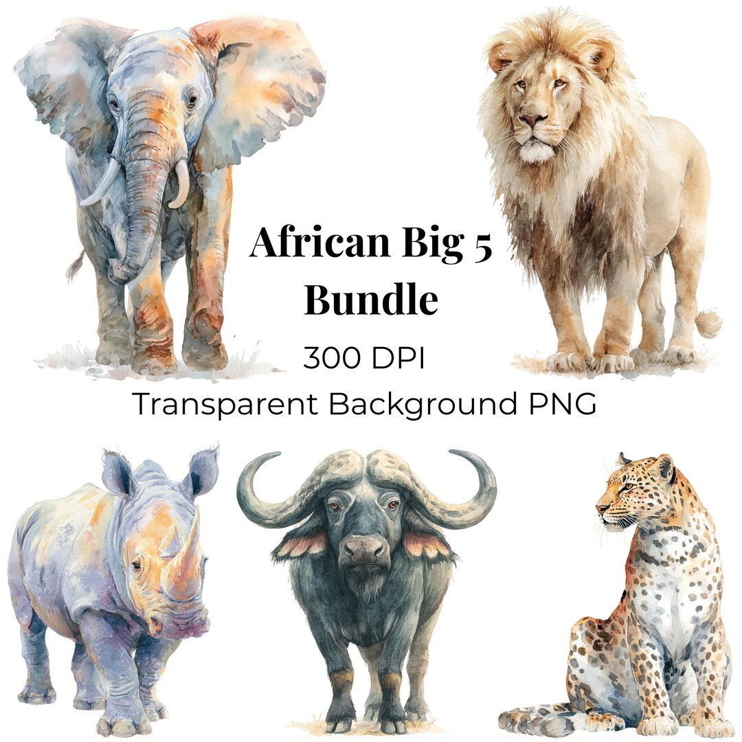 African Big 5 Watercolor Animals Clipart Bundle – Lion, Elephant, Rhino ...