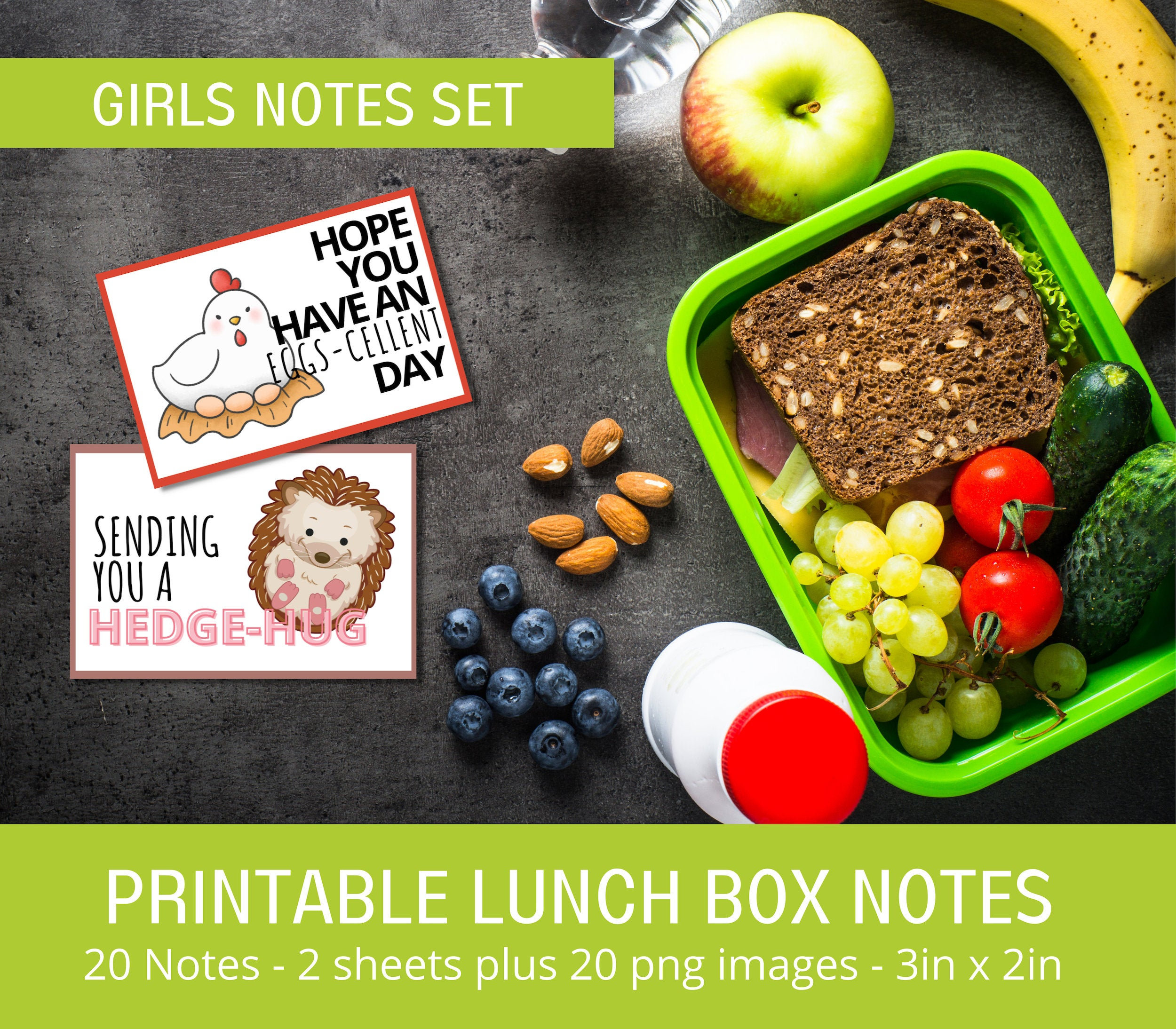 Printable Lunchbox Notes for Kids - Encouraging Quotes and ...