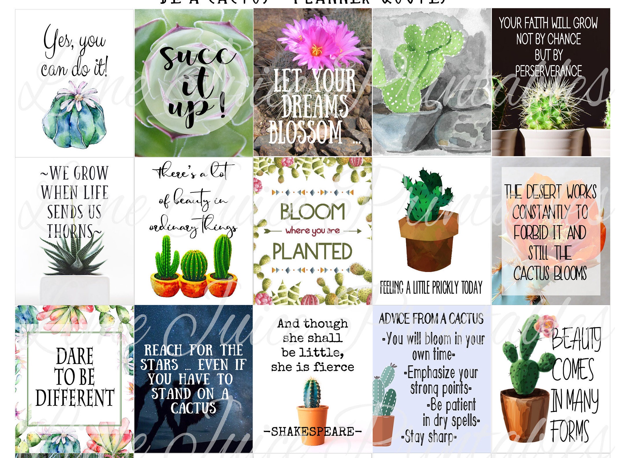 CACTUS Quotes|quote Stickers|printable Planner Stickers|planner Quotes ...
