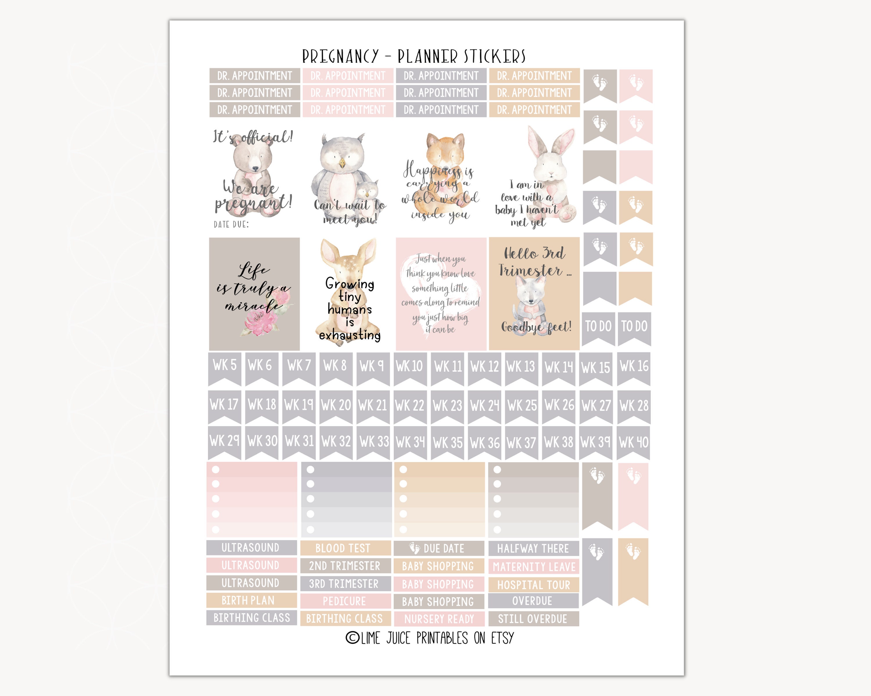 PREGNANCY Planner Stickers, Printable Planner Sticker Set, Weekly Kit ...