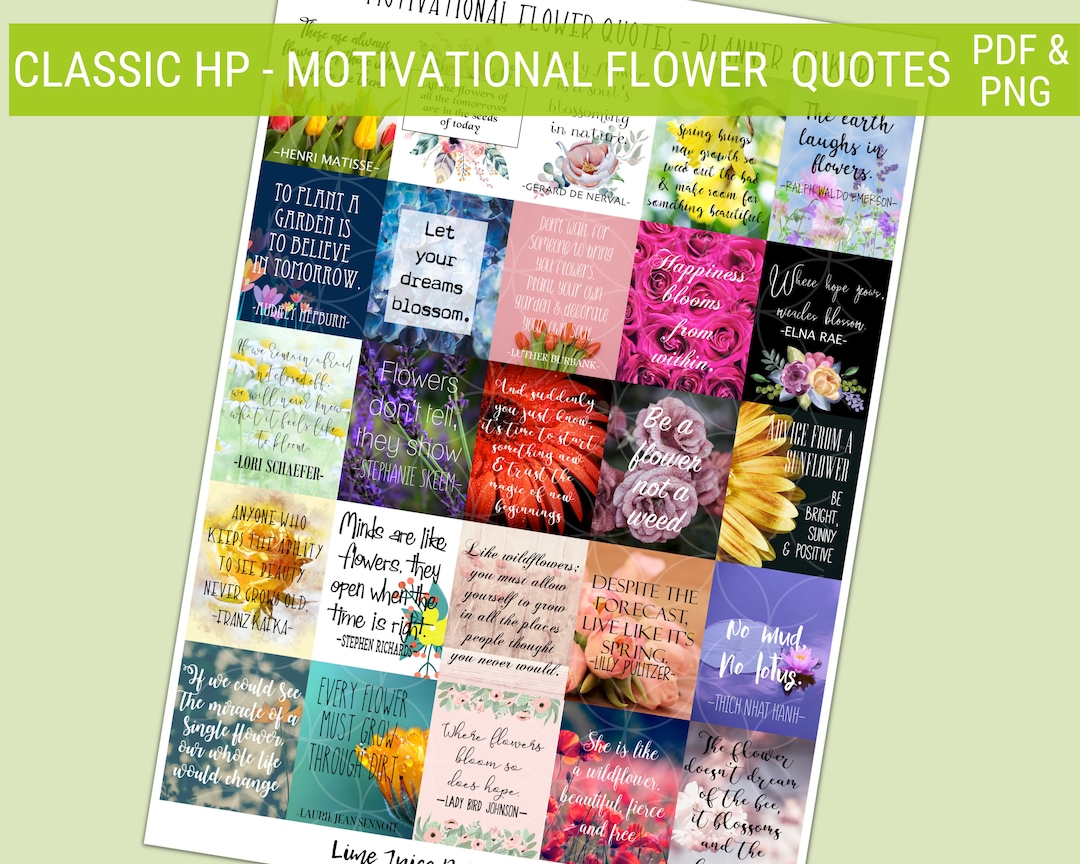 Floral Quote Stickers: Inspirational Planner Stickers (PDF & PNG) - Etsy