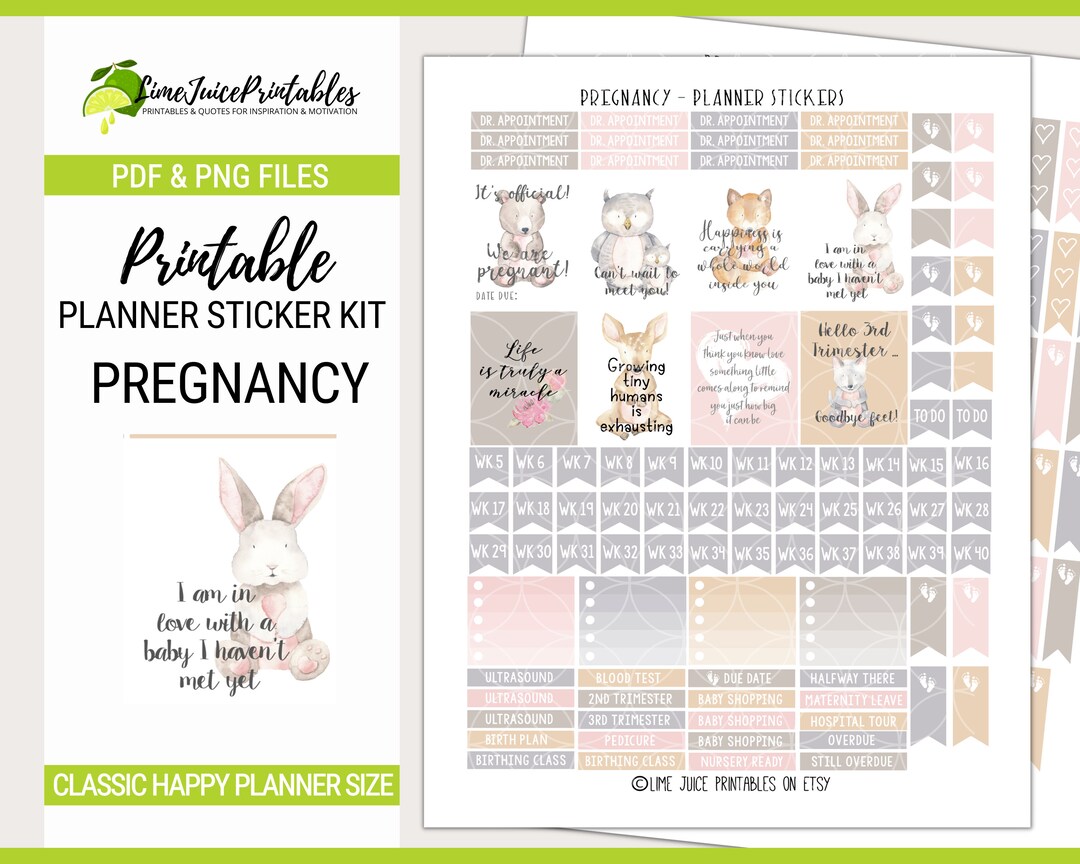 PREGNANCY Planner Stickers, Printable Planner Sticker Set, Weekly Kit ...