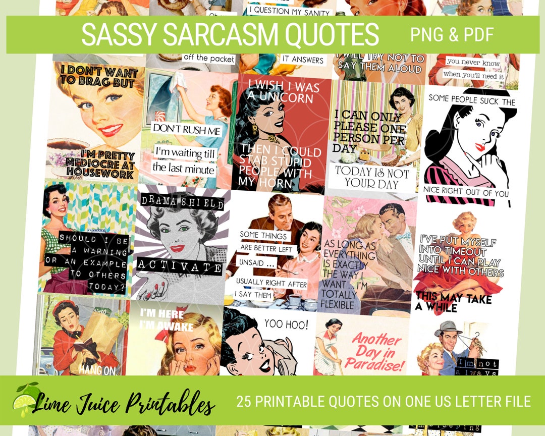 Sassy Planner Quotesquote Stickersprintable Planner Stickersfunny Quoteslife Quotes