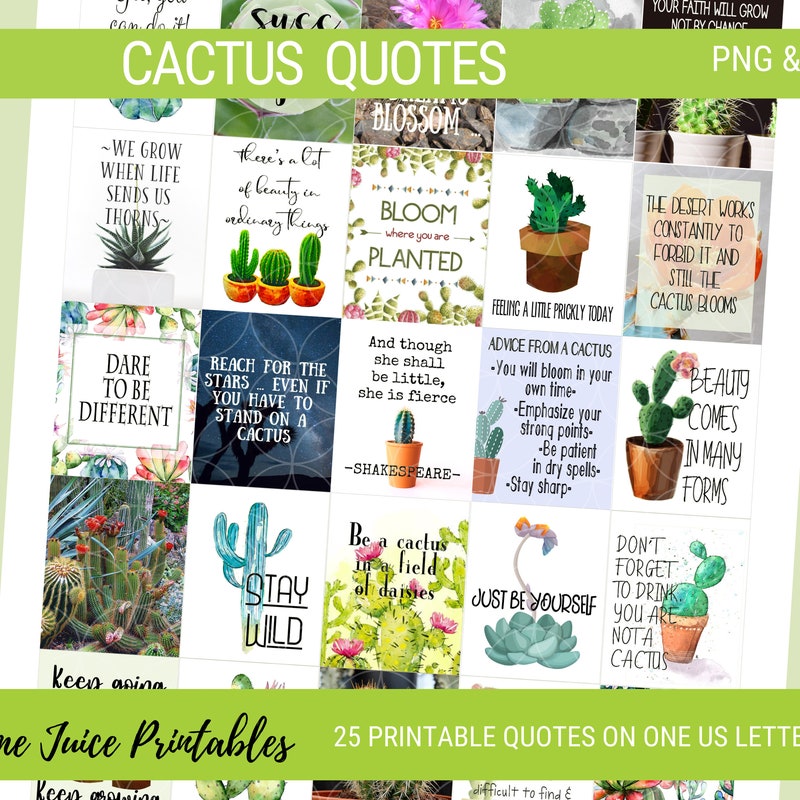 Cactus - Etsy