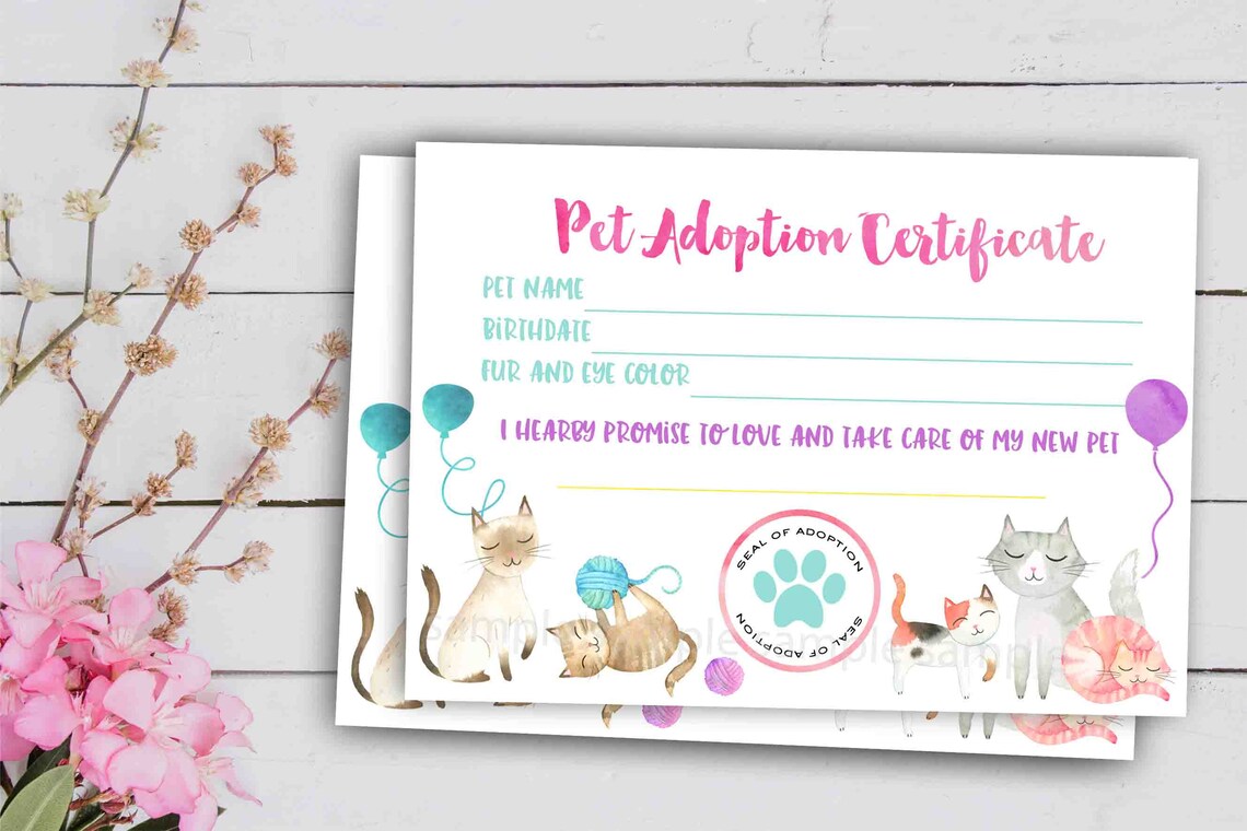 Kitty Cat Birthday Party Adoption Certificate and Adopt a Pet - Etsy