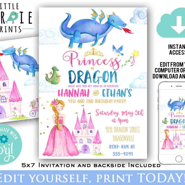 Princess and Dragon - Etsy