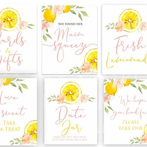 Lemon Baby Shower Welcome Sign Pink Lemonade Birthday Party Welcome ...