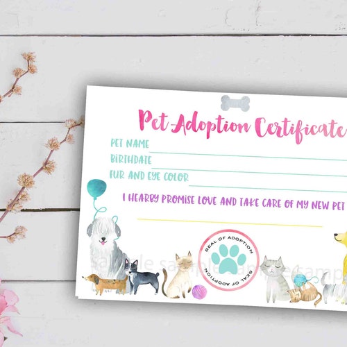 Adoption Certificate Puppy Kitty Party Adopt a Pet Sign AND - Etsy