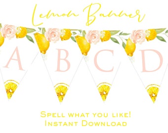 Pink lemonade baby shower - Etsy España