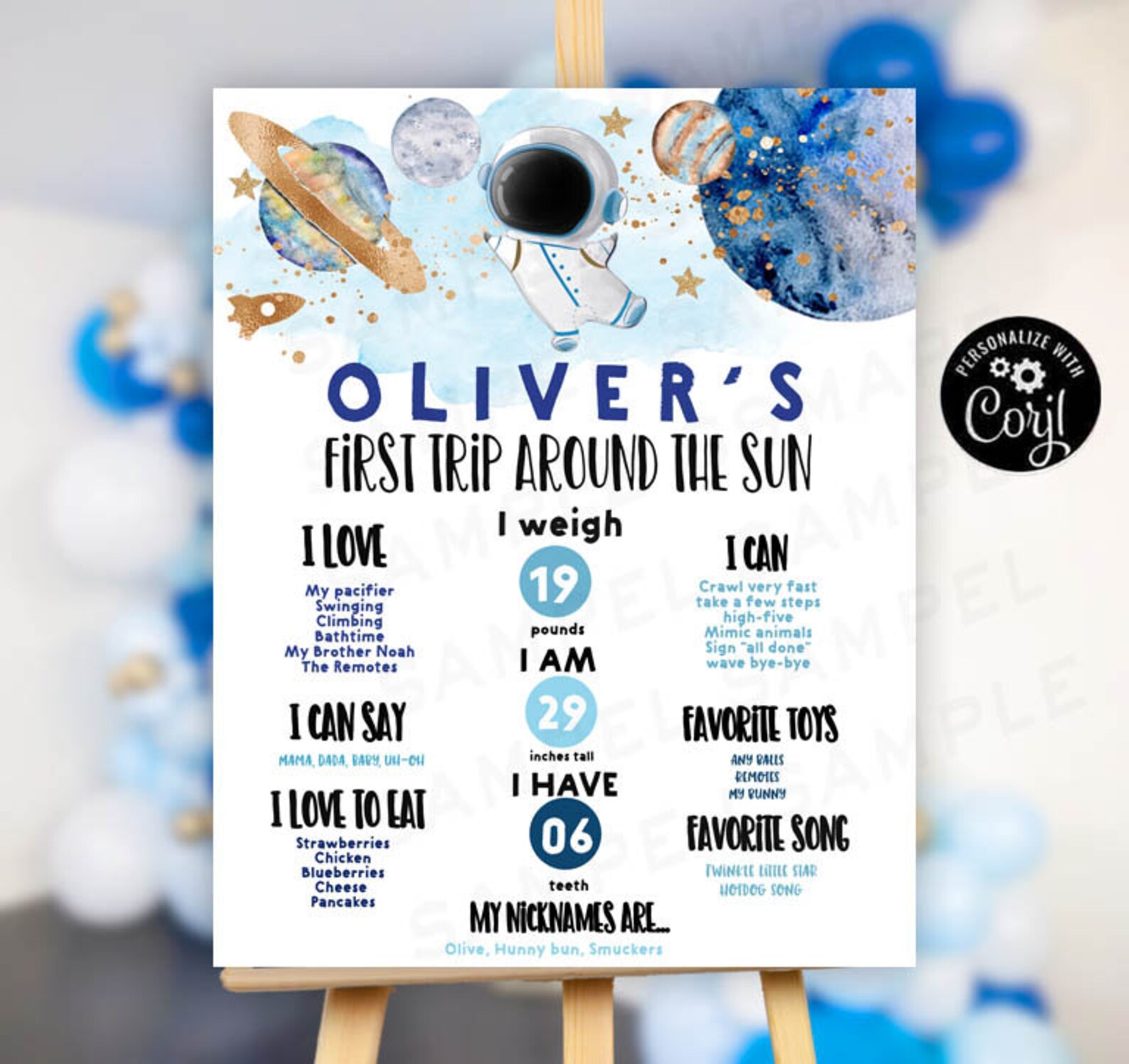 First Trip Around the Sun Birthday Party Milestone Poster - Etsy