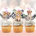 Party Animals Birthday Cupcake Toppers Girl Pink, Safari Leopard Print ...