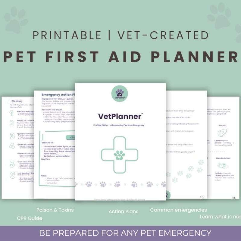 Cat First Aid Guide - Etsy