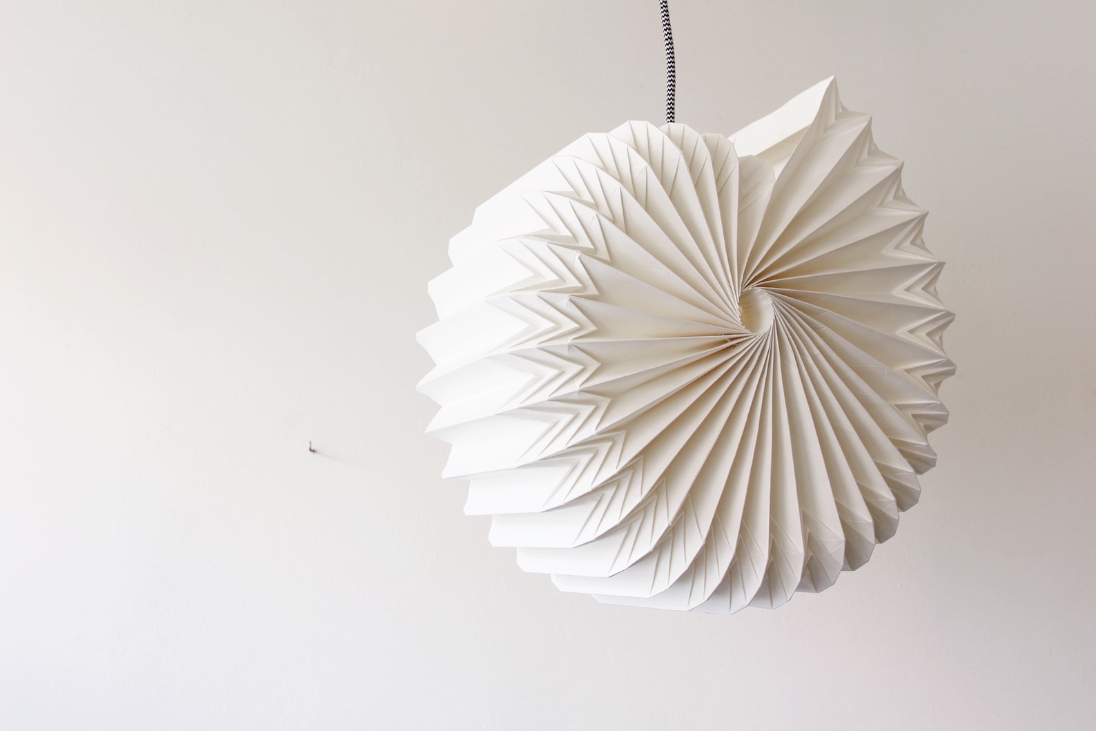 Paper Nautilus Lampshade Paper Hanging Lamp Statement Light - Etsy