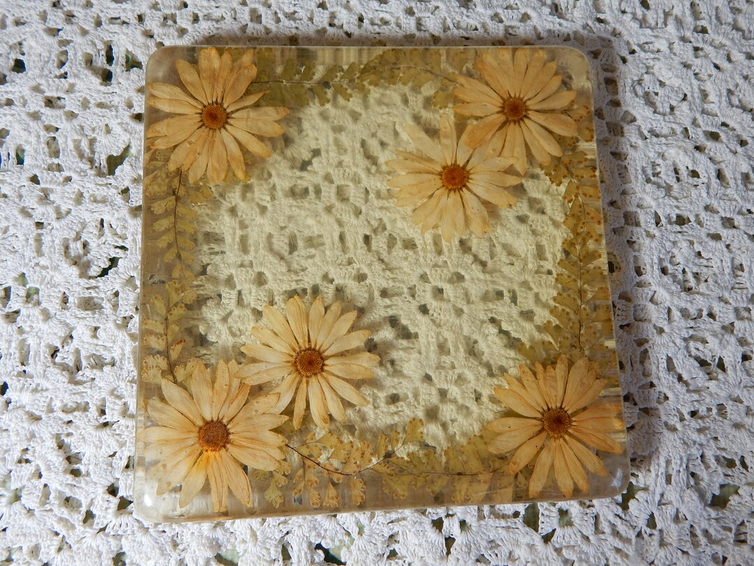 MCM Mid Century Lucite Trivet Tray Daisy Flower Retro Kitchen Cottage ...