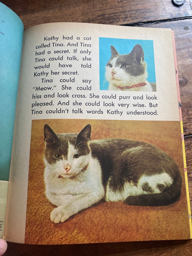 A Little Golden Book the New Kittens A Edition - Etsy