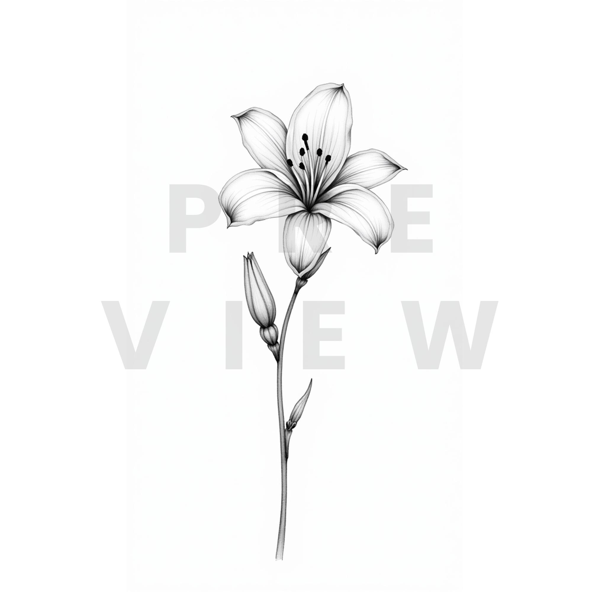 Lily Flower Line Art Printable | Minimalist Botanical Wall Illustration ...
