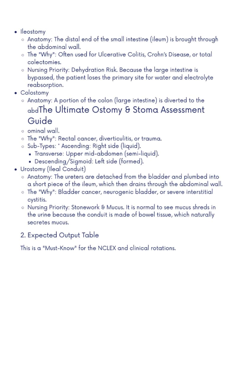 Stoma Care Guide | Ostomy Assessment PDF for Nurses and Carers - Etsy