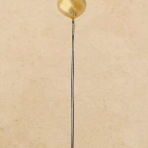 Shell Spiral Hat Pin Long Lapel Pin Inner Whorl White Vintage - Etsy