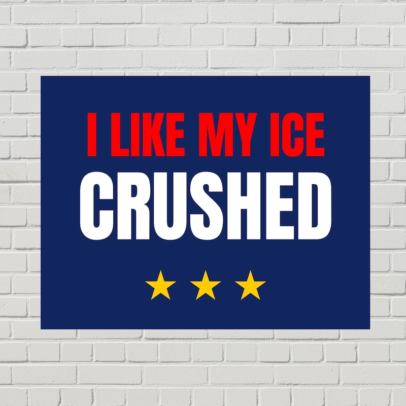 Ice Protest Sign - Etsy