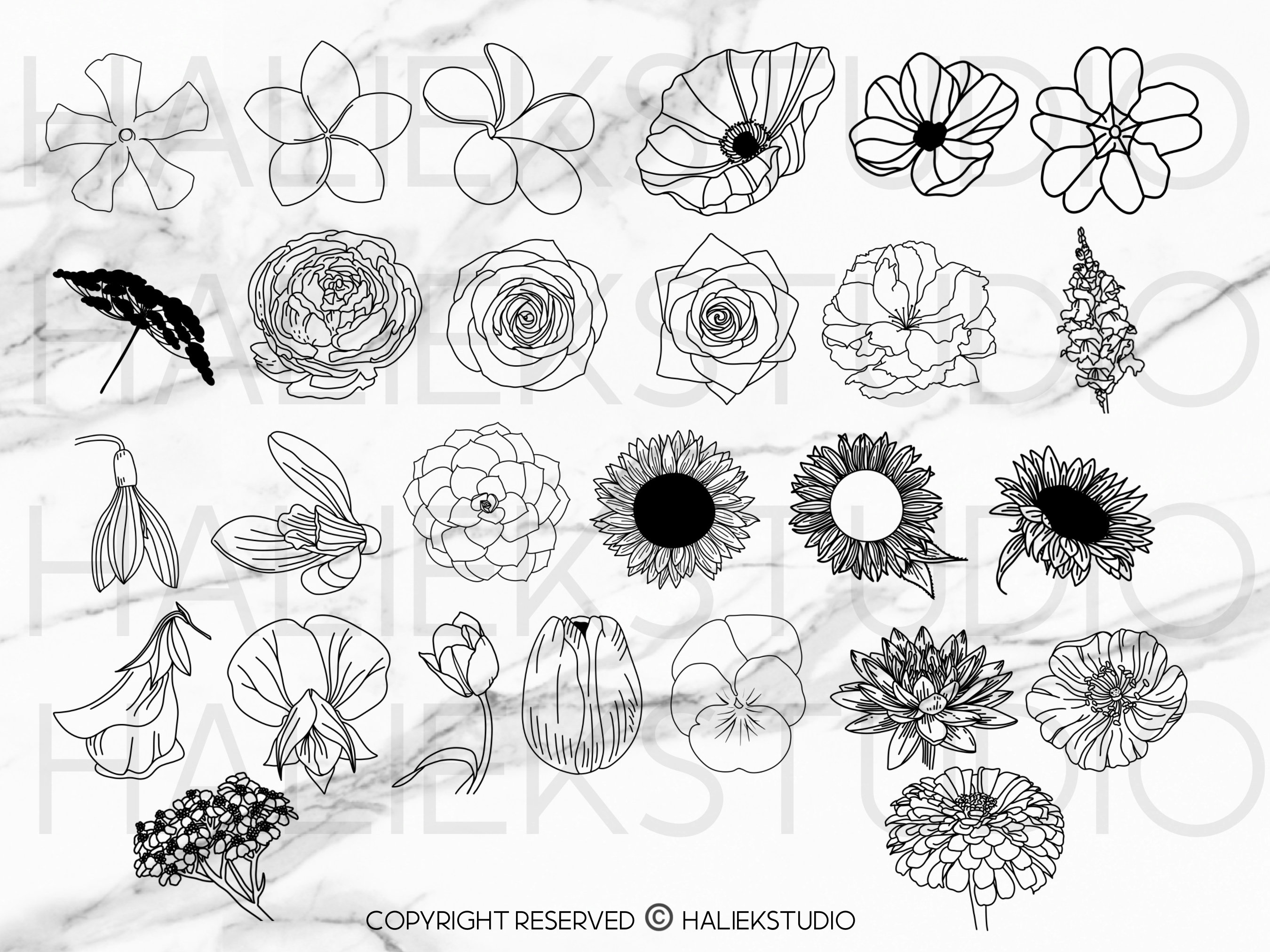 Procreate Flower Bloom Stamps 80 Flower Bloom Image Stamps - Etsy