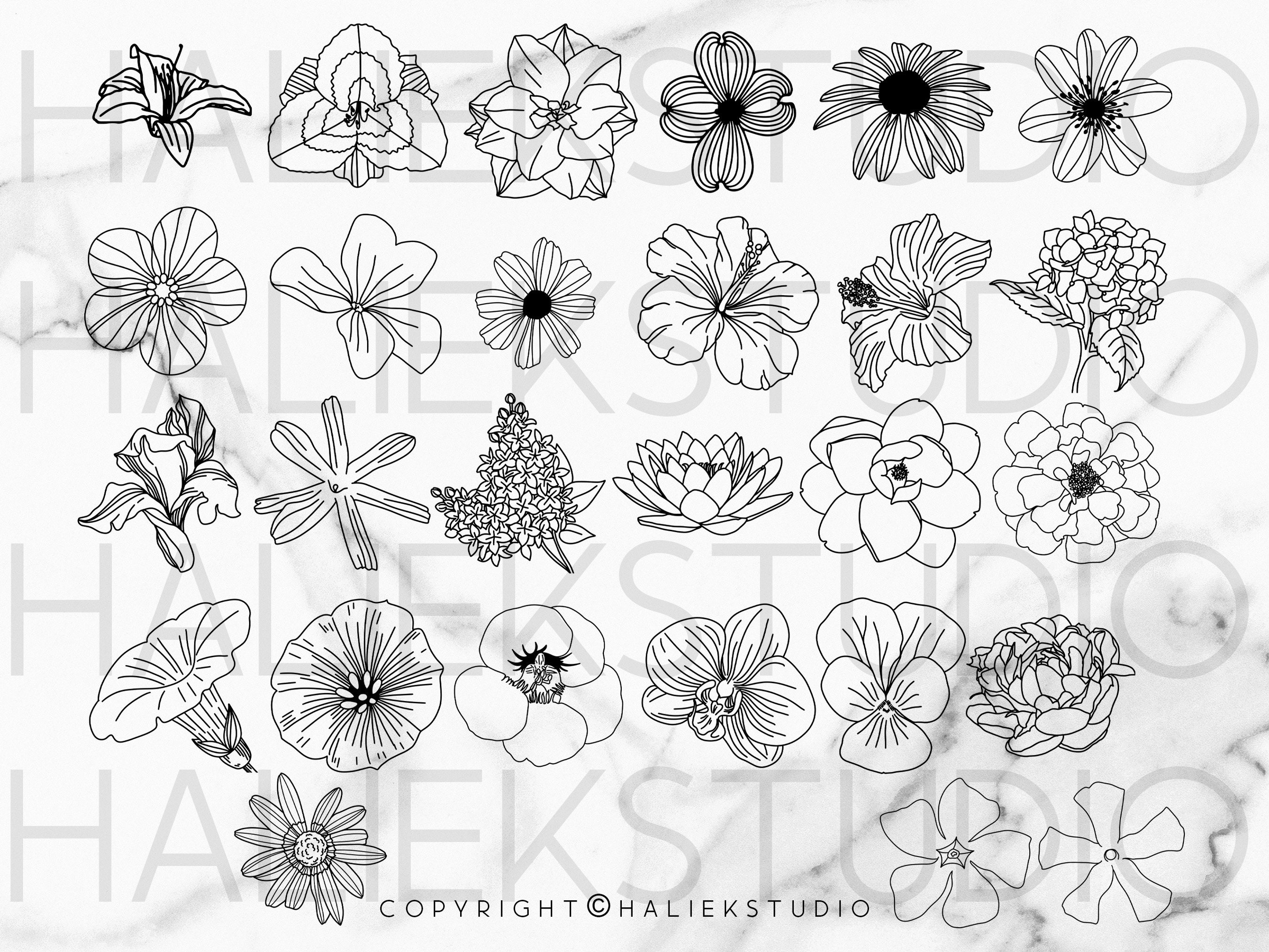 80 Flower Blooms Svg Bundle Botanical Line Art in SVG, Png, Dxf, or Eps ...