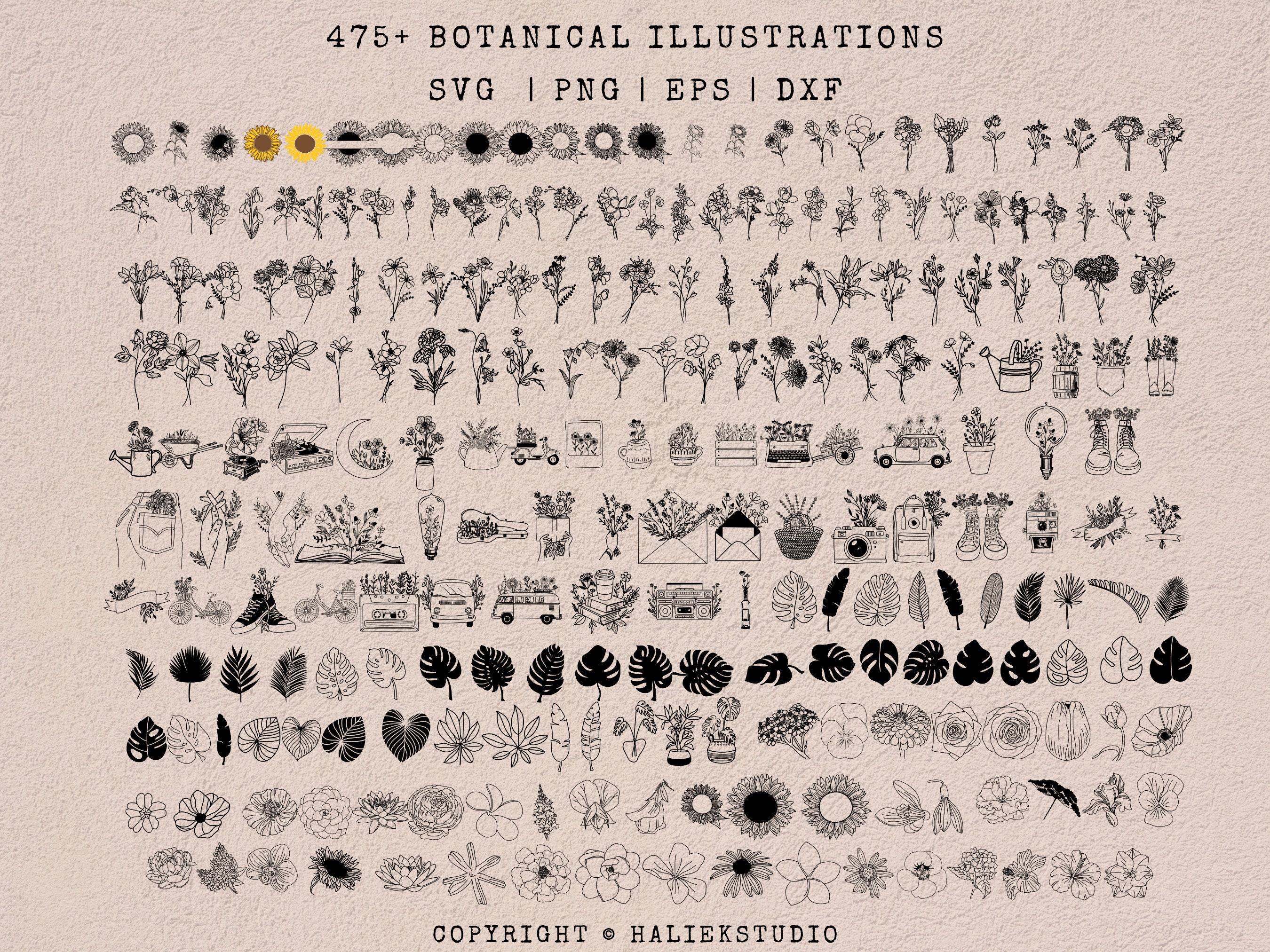 475 Botanical Illustration SVG Bundle Flowers Bouquets - Etsy