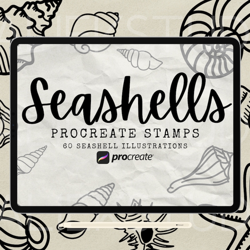 Seashell Brush - Etsy Australia